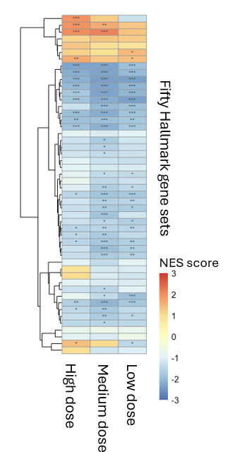 Gene Set Enrichment Analysis to the Rescue – bioinformatics beyond the ...